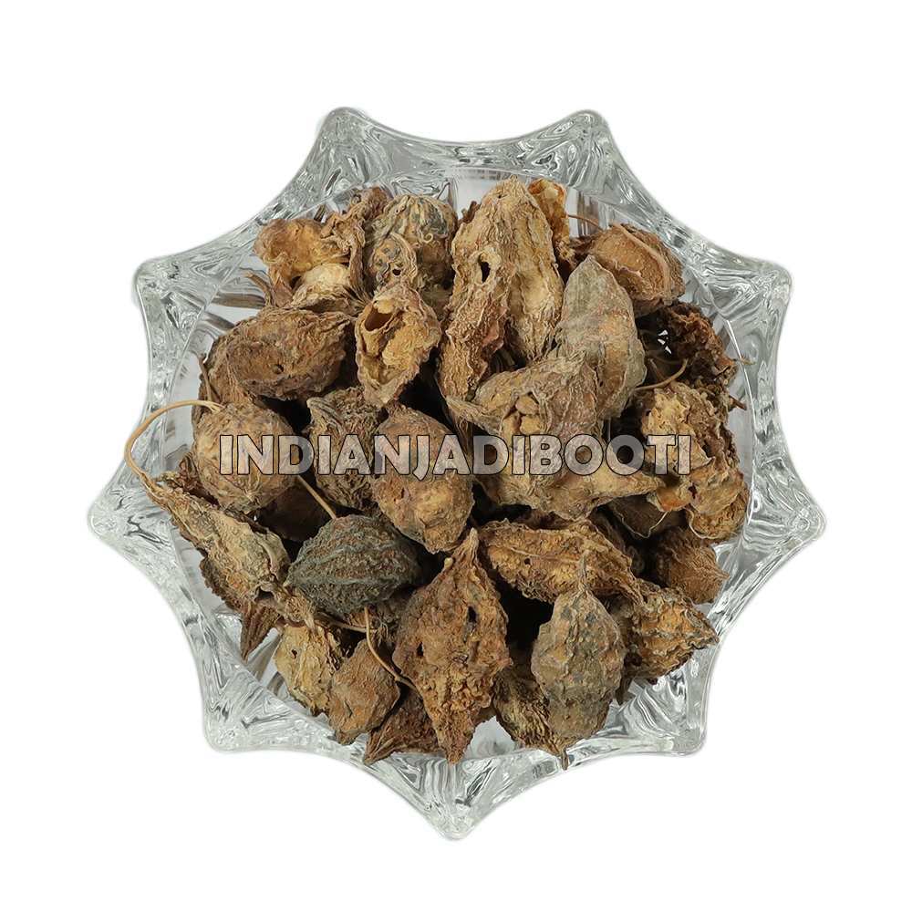 Bitter Gourd Small - Karela Chota - Momordica charantia from ...
