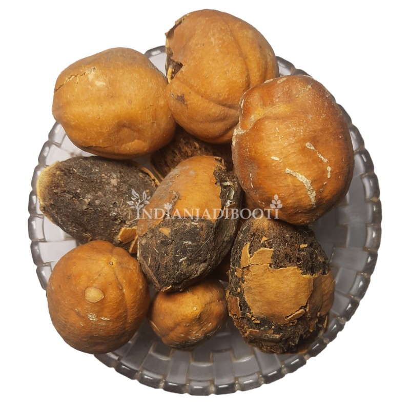 Raw Wholesome Sabut Herbs : Hingot - Balanites Roxburghii ...