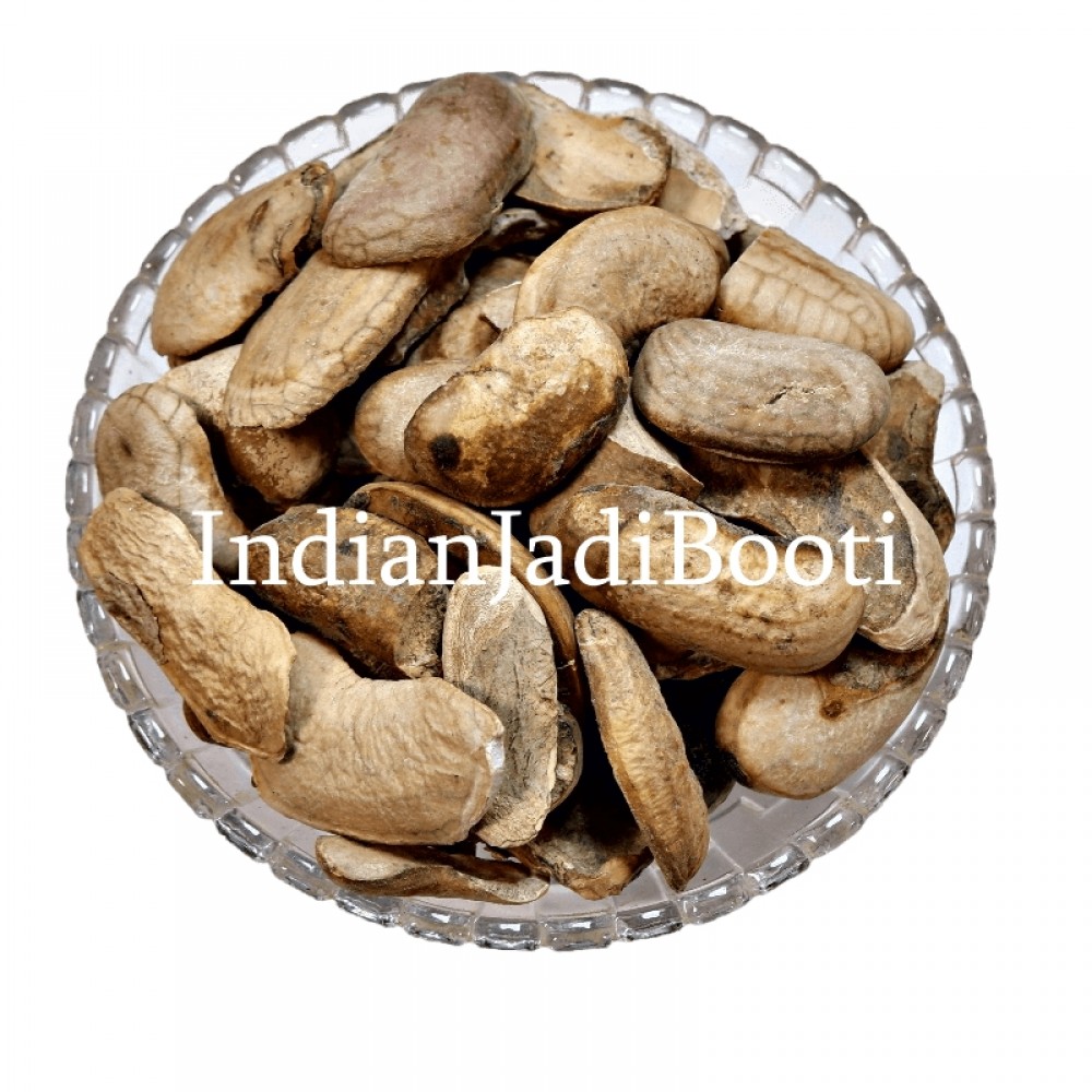 Mango Seed Kernel - Aam Guthali - Mangifera Indica from ...