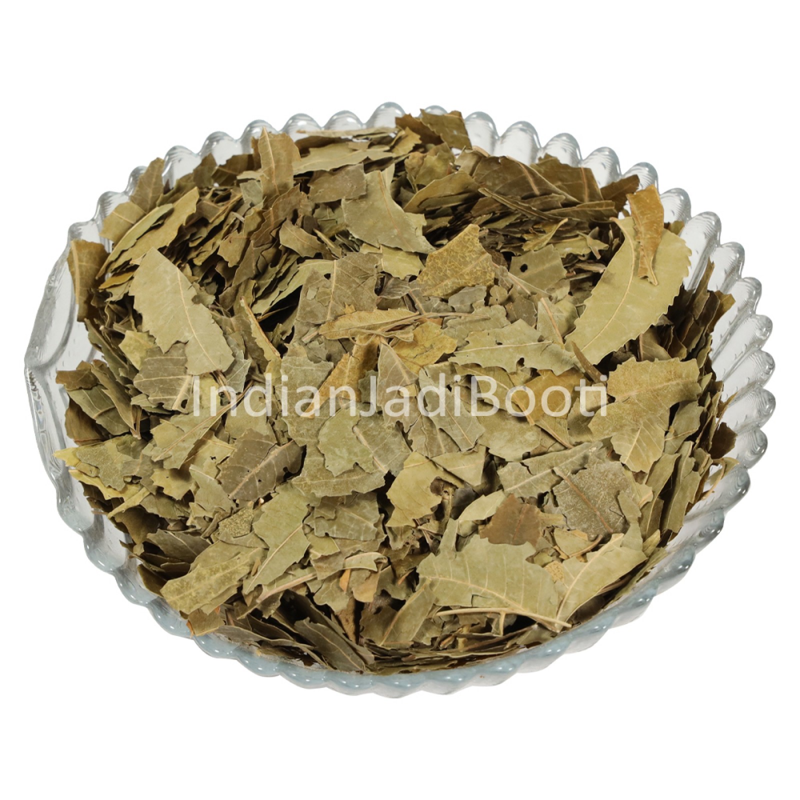 Neem Leaves - Neem Patta - Azadirachta Indica from India ...