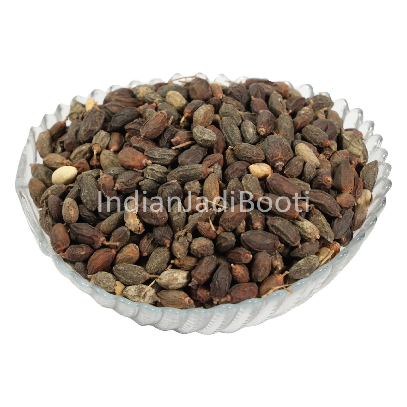 Edible and Medicinal Seeds : Neem (Seeds with Shell) - Neem ...