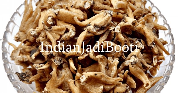 Benefits of salam panja