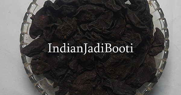 Benefits of Kokum
