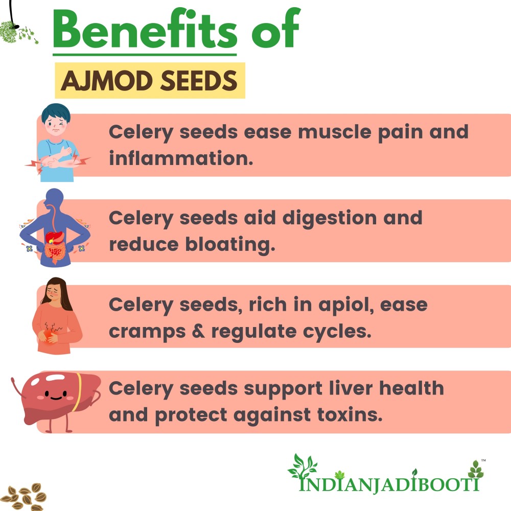 Wholesome Spices and Powders : Order Ajmoda Seeds - Celery ...