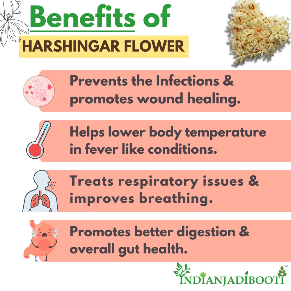 Dried Flowers : Dry Parijat Flower- Harshringar Phool - Nyctanthes ...