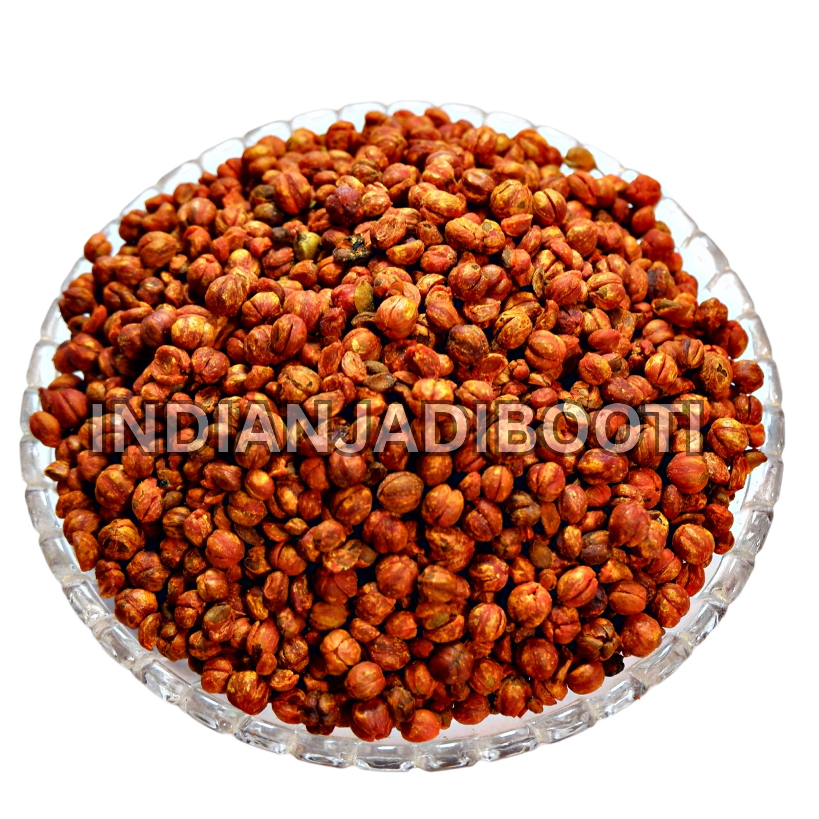 Edible and Medicinal Seeds : Malkangni Beej - Jyotishmati ...