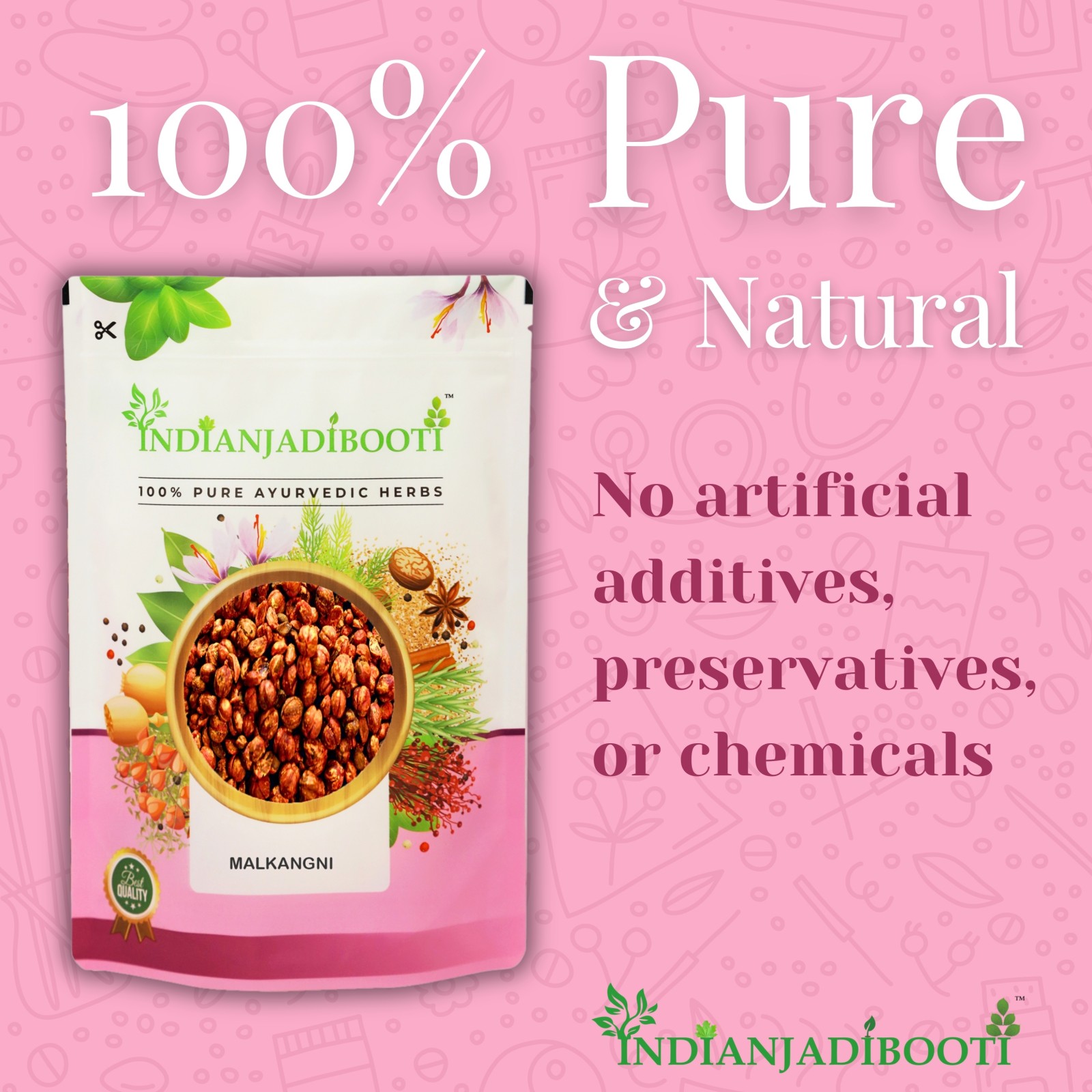 Edible and Medicinal Seeds : Malkangni Beej - Jyotishmati ...