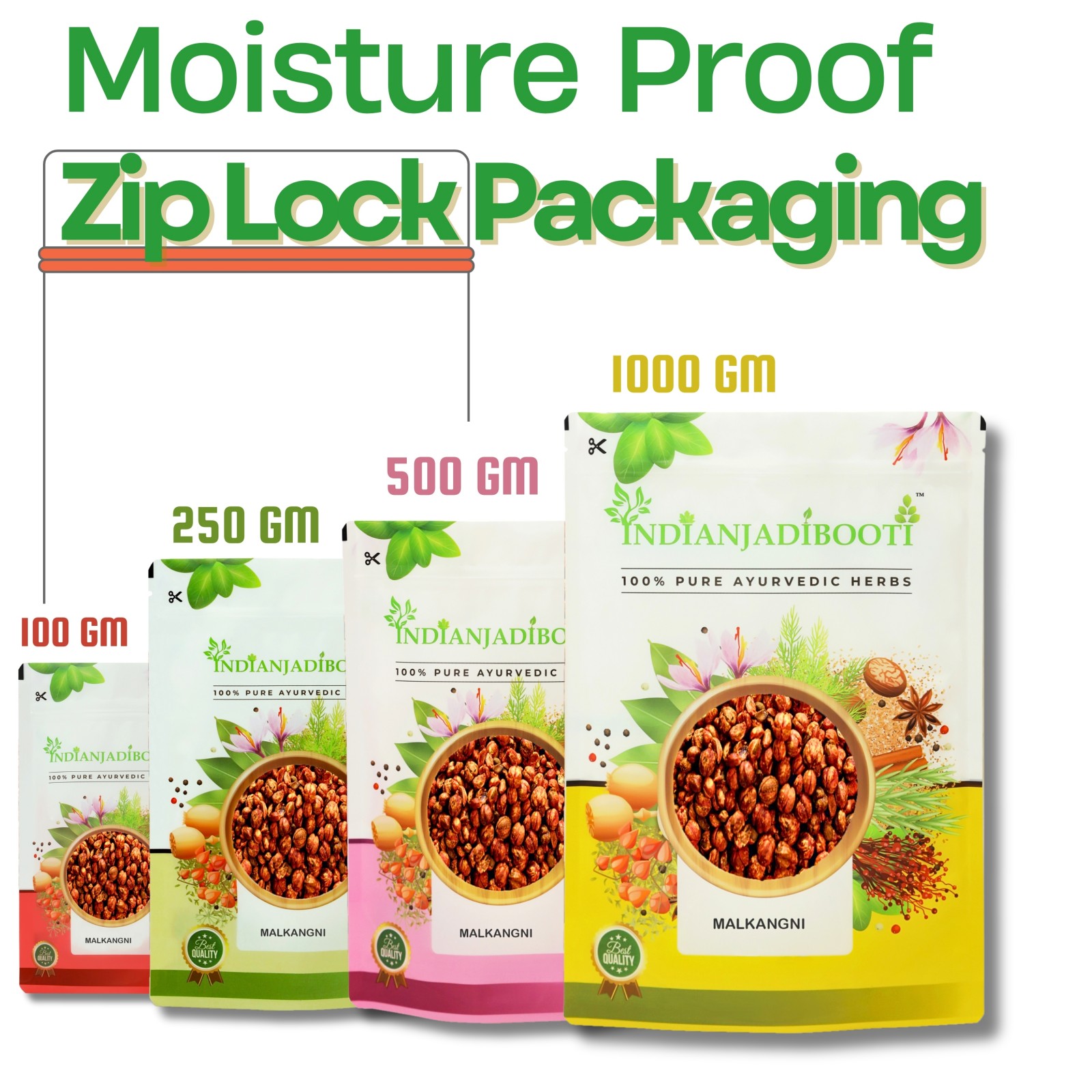 Edible and Medicinal Seeds : Malkangni Beej - Jyotishmati ...