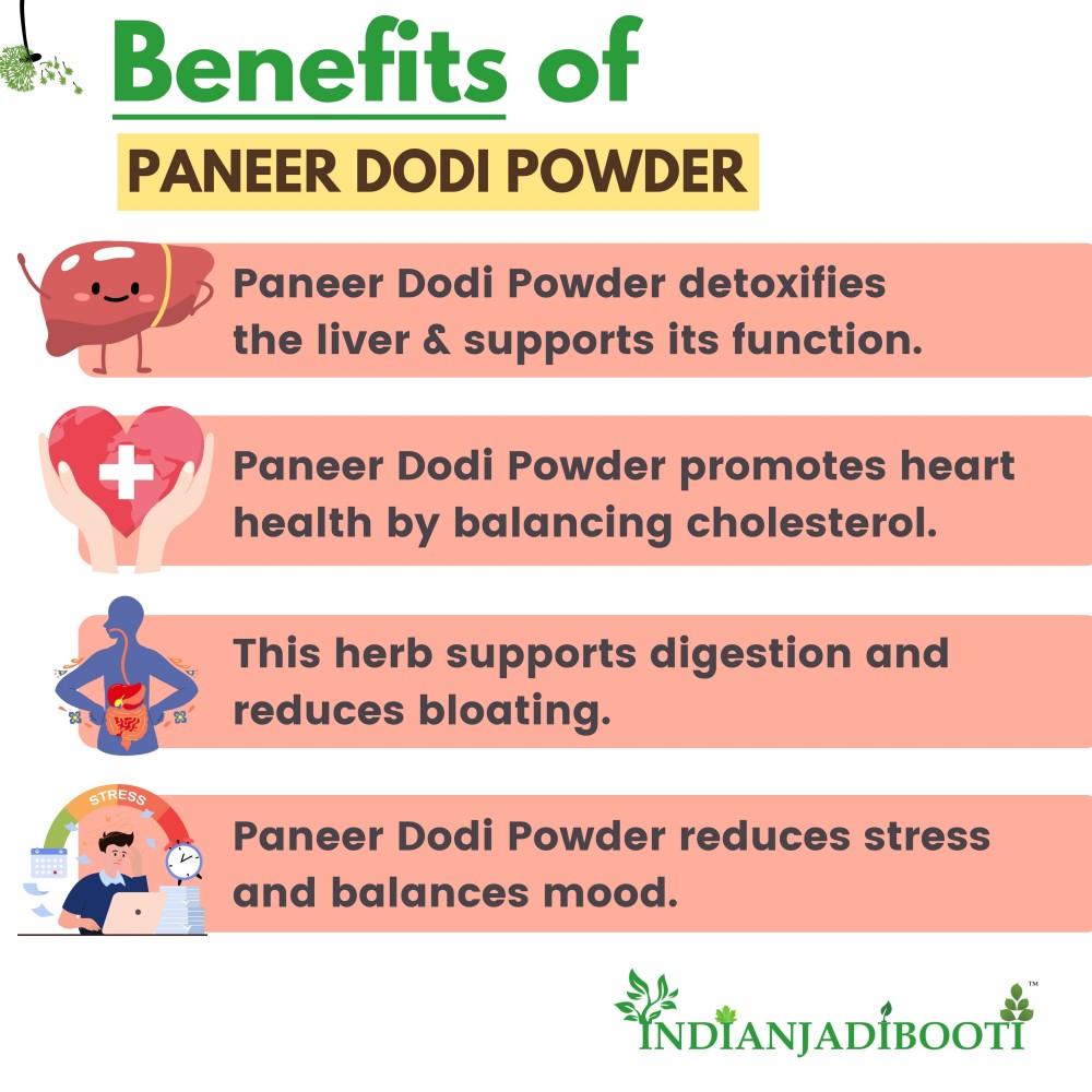 Herbs Powder : Order Pure Paneer Dodi Powder - Paneer Doda ...