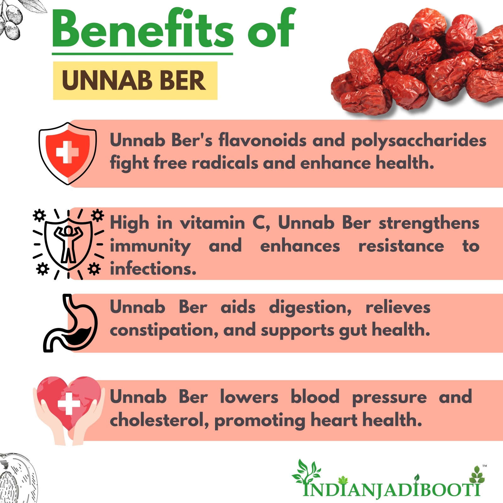 Raw Wholesome Sabut Herbs : Unnab Ber - Sukhey Ber - Jujube ...