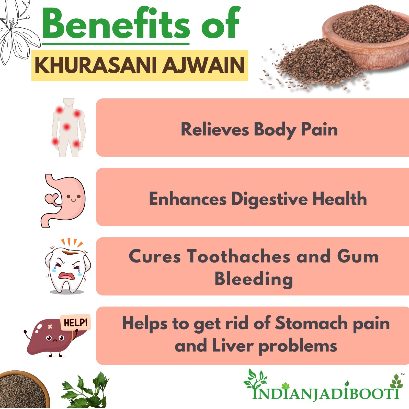 Wholesome Spices and Powders : Order Khurasani Ajwain Hyoscyamus ...