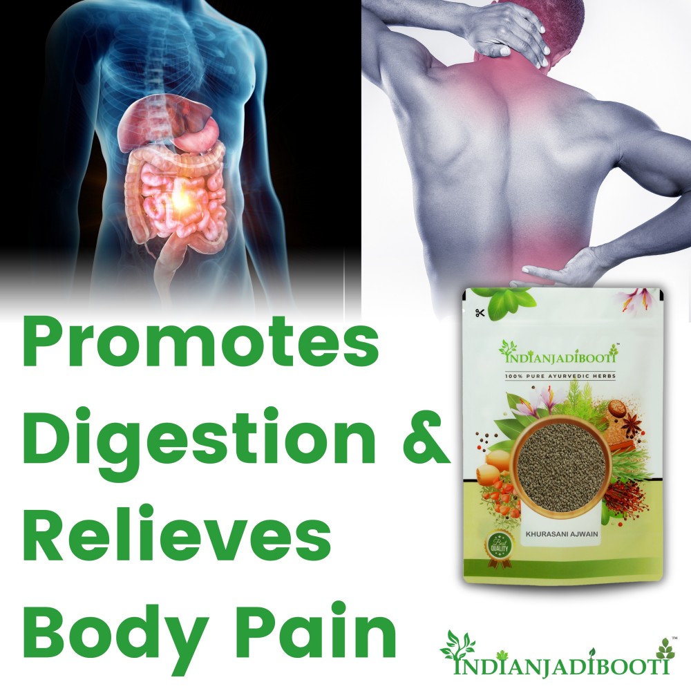 Wholesome Spices and Powders : Order Khurasani Ajwain Hyoscyamus ...