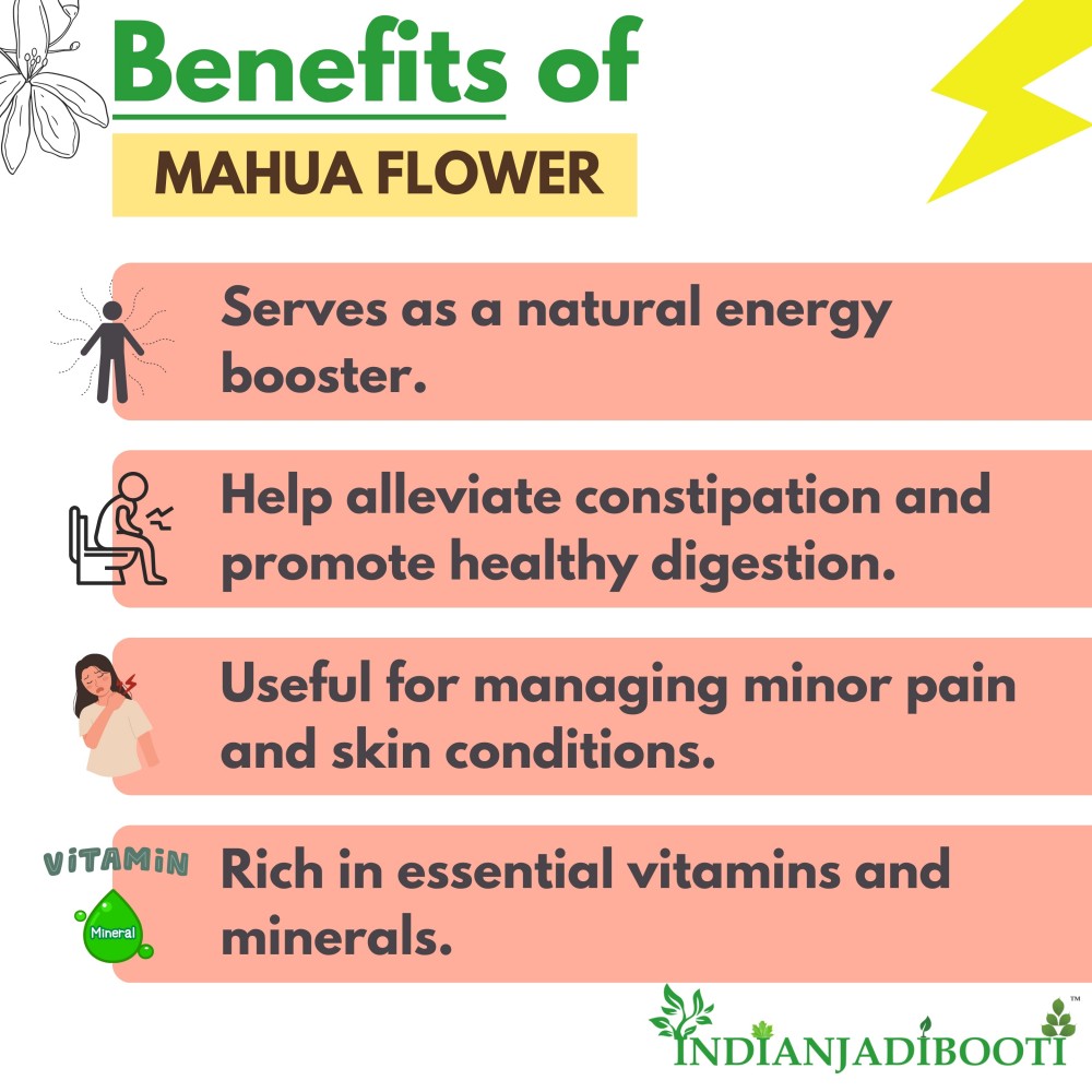 Holi : Mahua - Mahuya Flower - Madhuca indica - Madhuca Longifolia ...