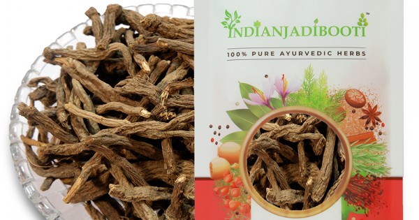 Akarkara Irani: Traditional Uses Unveiled