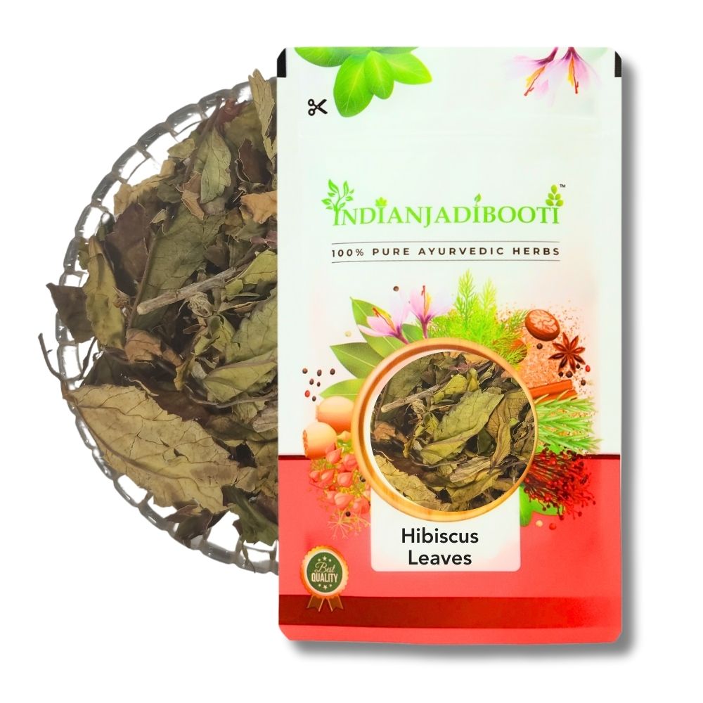 Hibiscus (Leaves) - Gudhal (Patta) - Jaswand - Japa Pushpa ...