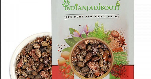 Castor Seeds (Red) - Erandi Beej Lal - Ricinus Communis Seeds ...