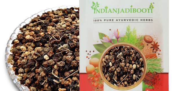 Benefits of Makoy Phal - Makoh Fruit - Makoi - Mokoi - Solanum ...