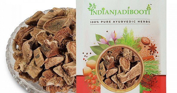 Benefits of Semal Roots - Simbal Musli - Bombax malabaricum
