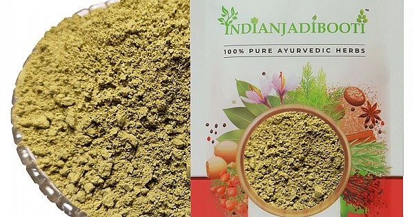 Benefits of Wheat Grass Powder - Wheatgrass Powder