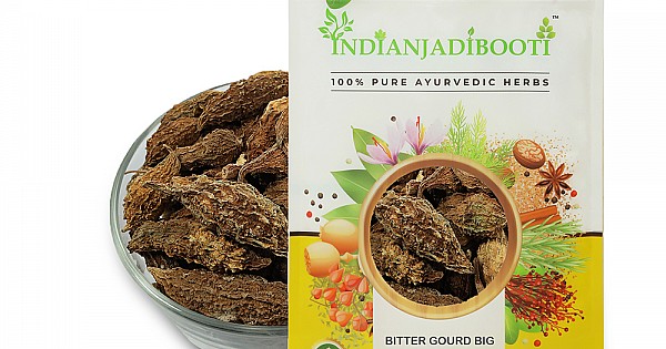 Benefits of Bitter Gourd Big - Karela Bada - Momordica c ...