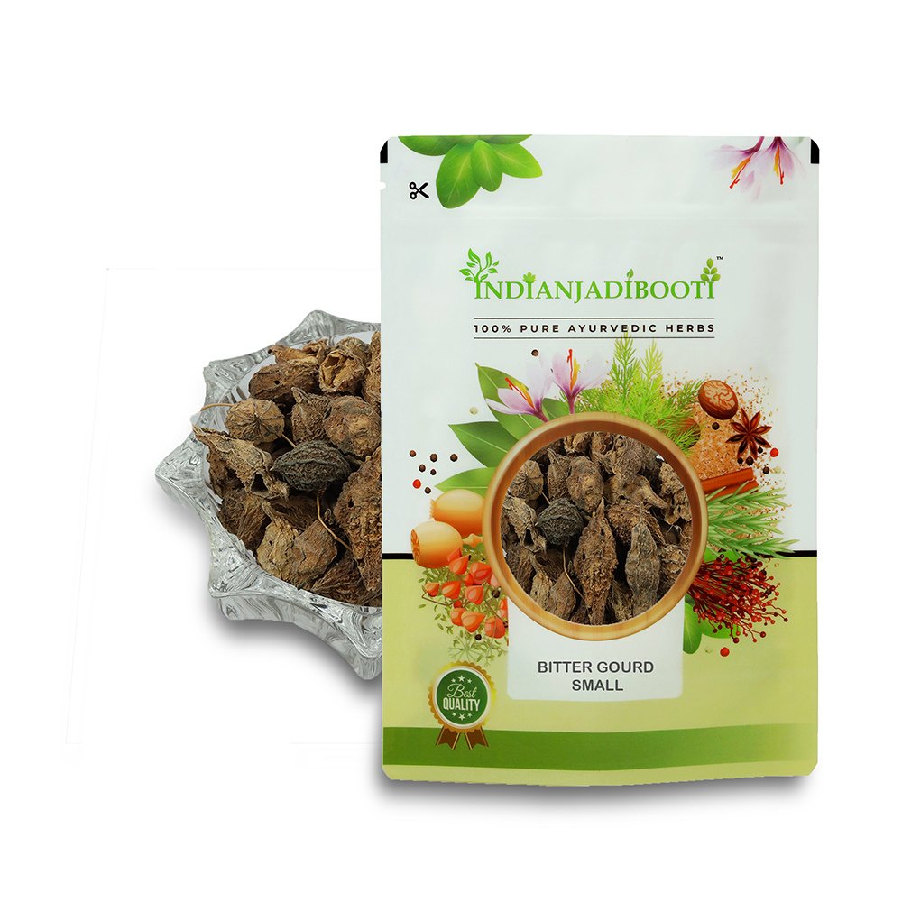 Bitter Gourd Small - Karela Chota - Momordica charantia from ...