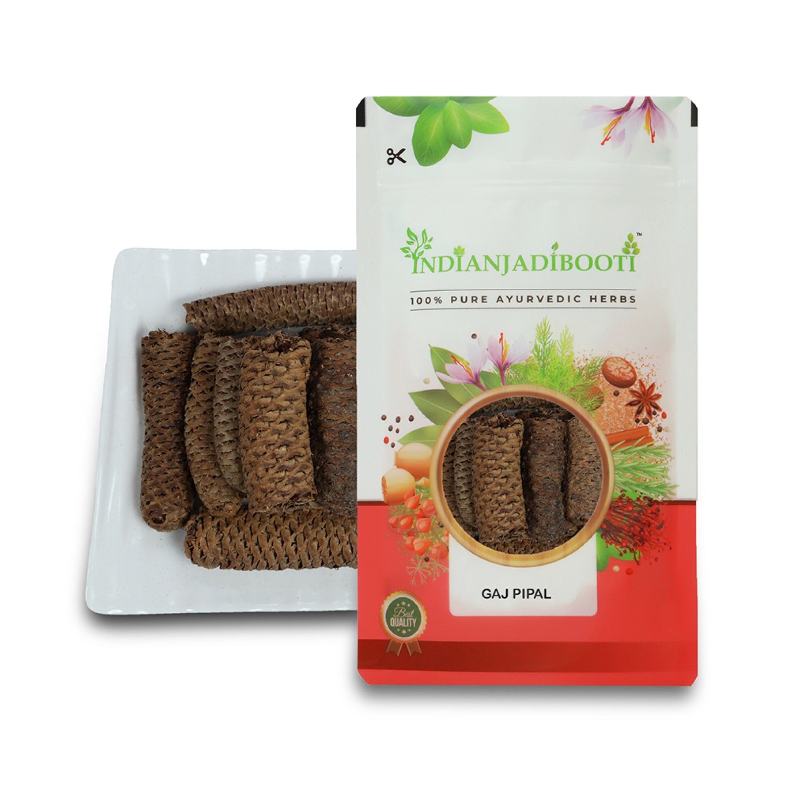 Gaj Pipal - Gajpeepal - Gaj Peepal - Piper Chaba - Scindapsus ...