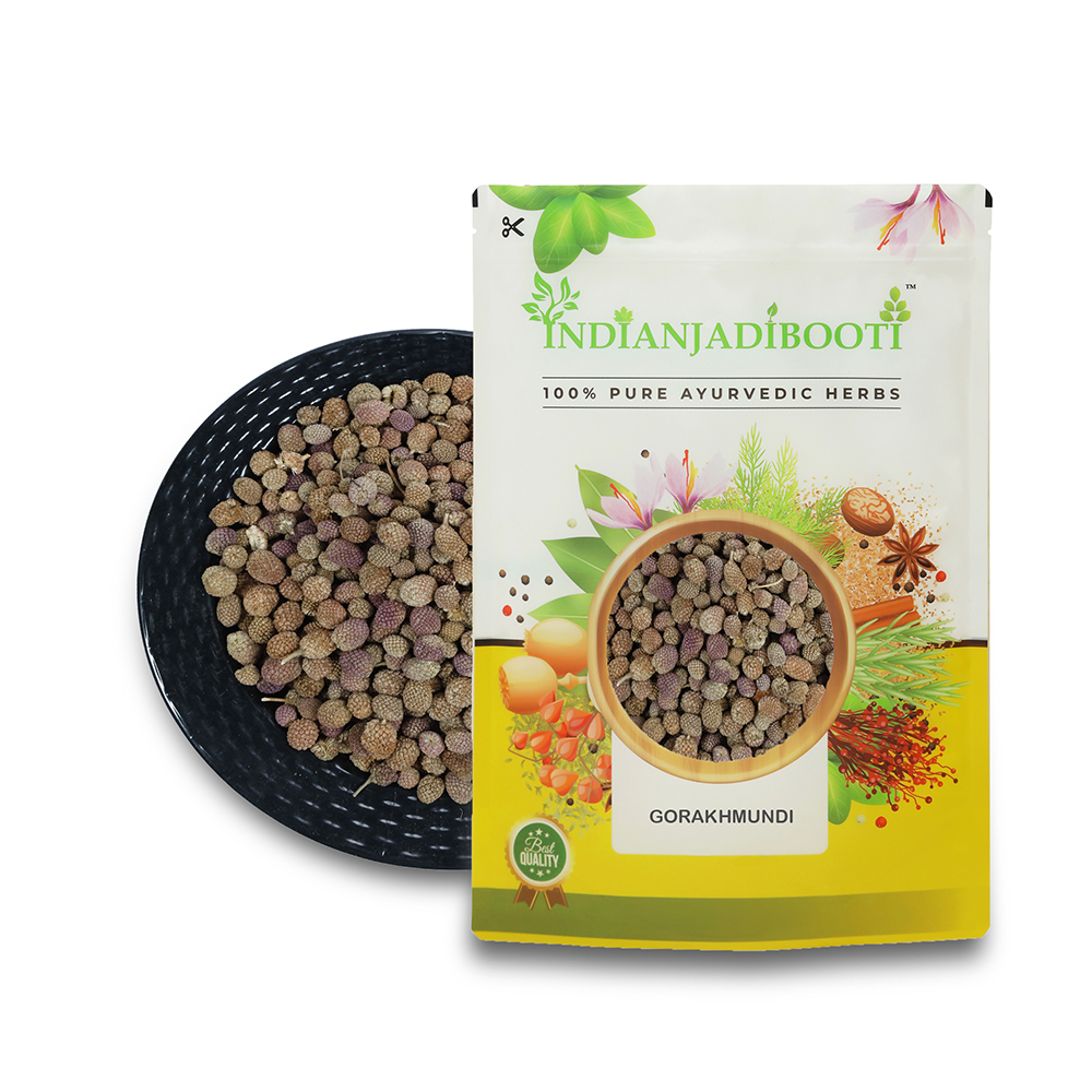 Raw Wholesome Sabut Herbs : Gorakhmundi - Gorakh Mundi