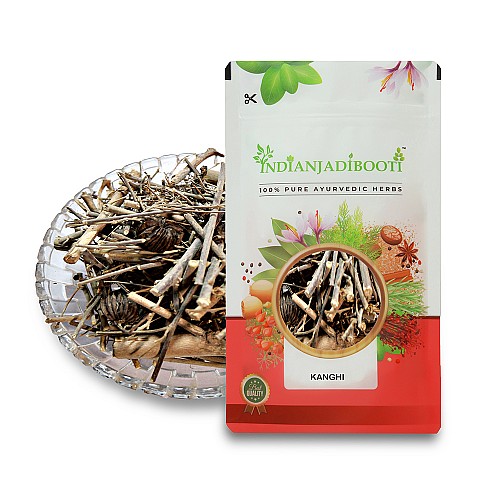 Edible and Medicinal Seeds : Pahadi Imli Beej (Bada) - Emli ...
