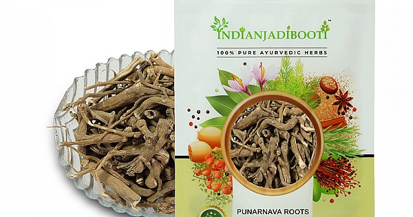 Order Original Best Quality Punarnava Roots - Boerhavia Diffusa ...