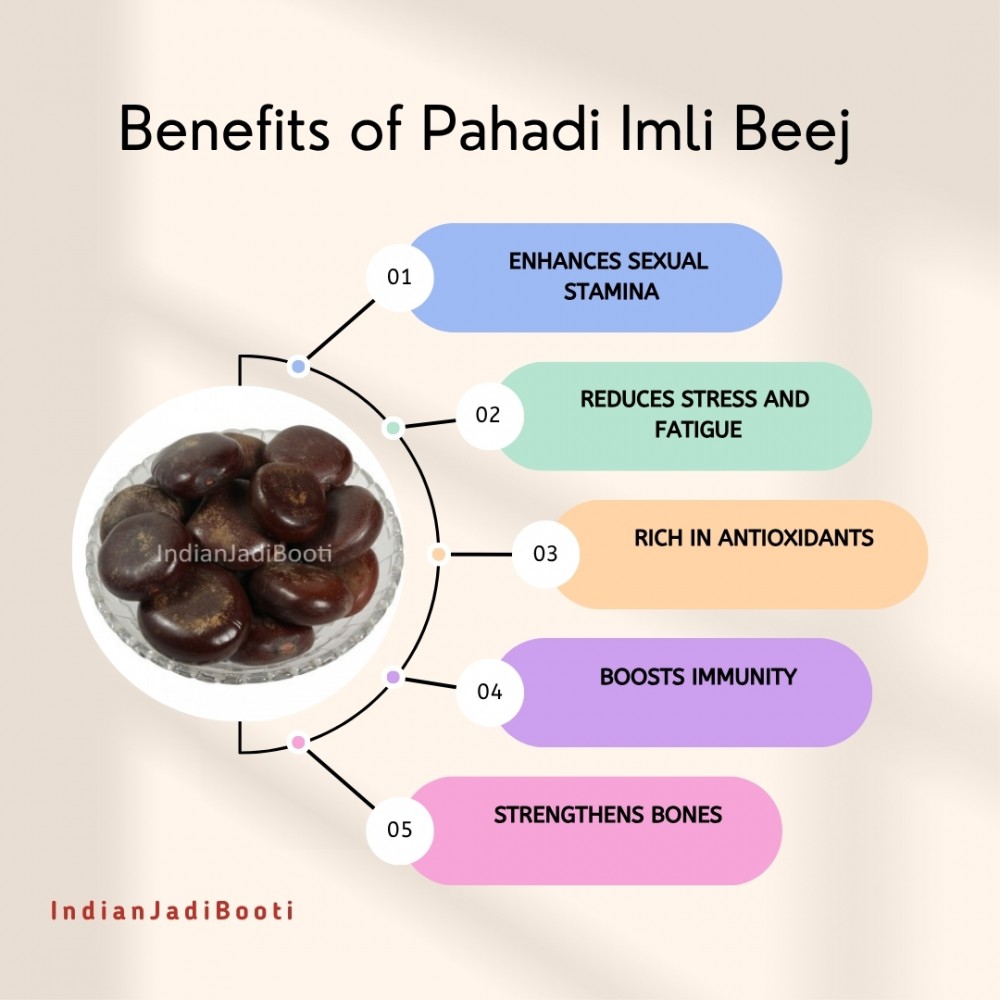 Edible and Medicinal Seeds : Pahadi Imli Beej (Bada) - Emli ...