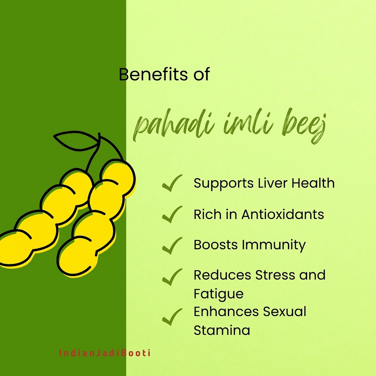Edible and Medicinal Seeds : Pahadi Imli Beej (Bada) - Emli ...