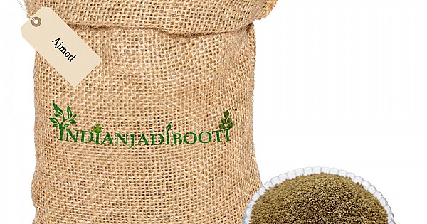 Benefits of Ajmoda Seeds - Celery Seeds - Apium Graveolens