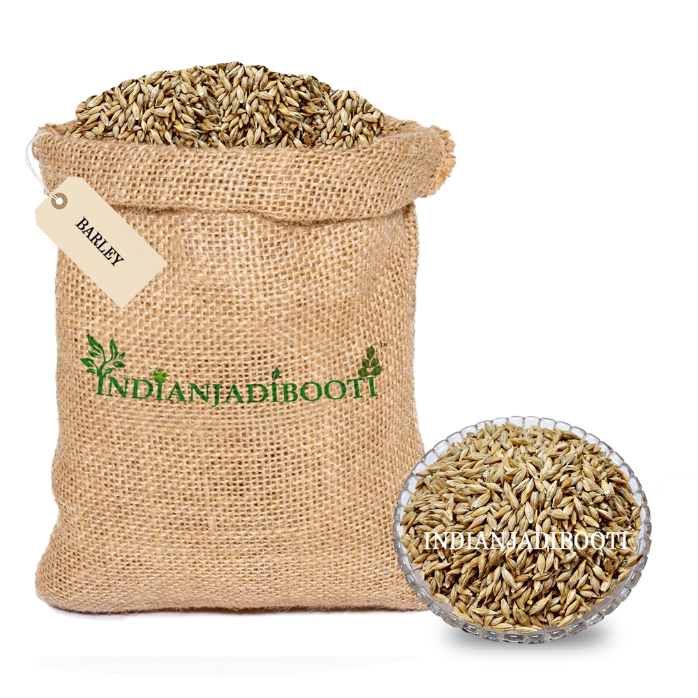 Edible and Medicinal Seeds : Order Clean and Sorted Barley ...