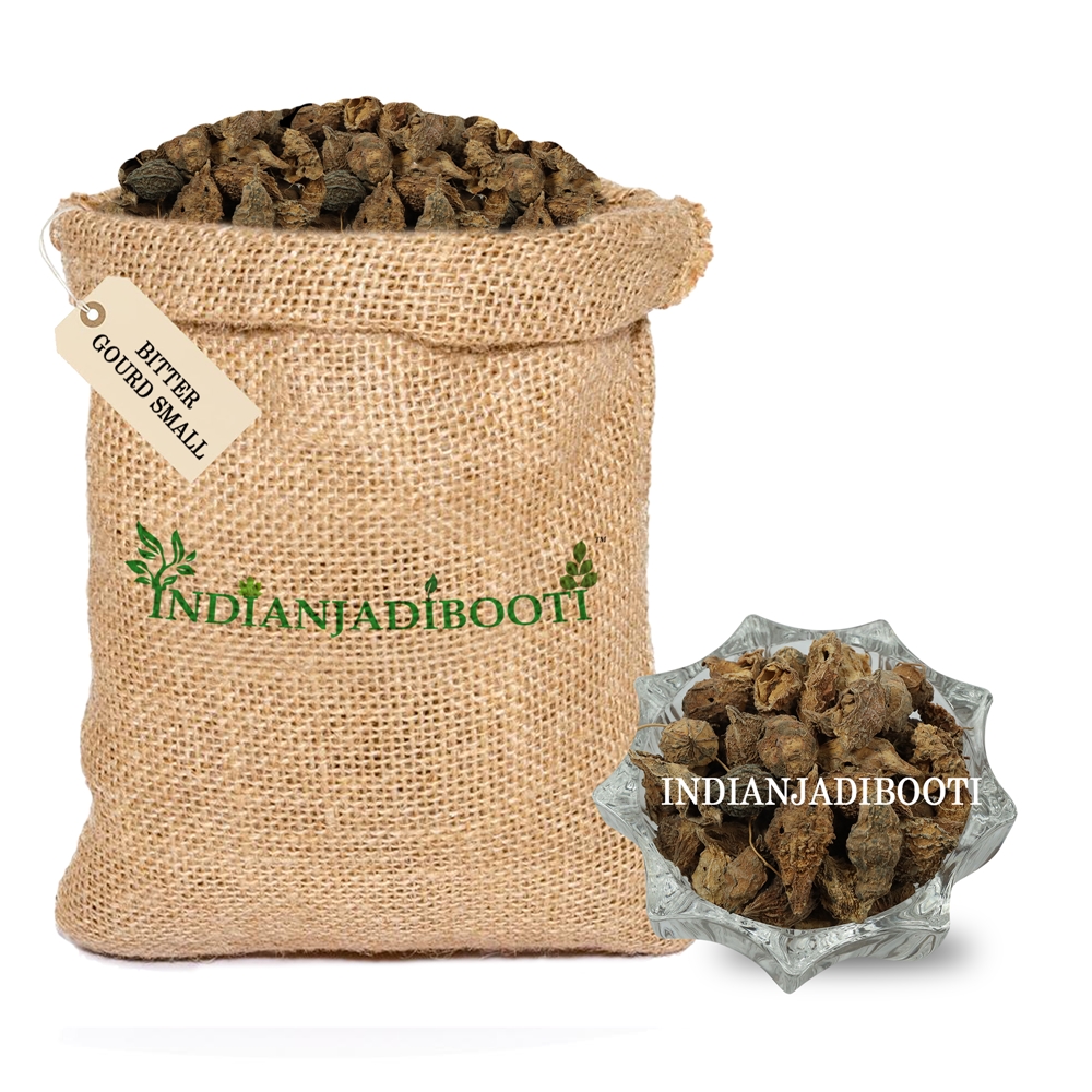 Bitter Gourd Small - Karela Chota - Momordica charantia from ...