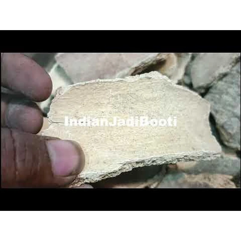 Varun (Chaal) - Barun Chhal - Varun Bark | IndianJadiBooti