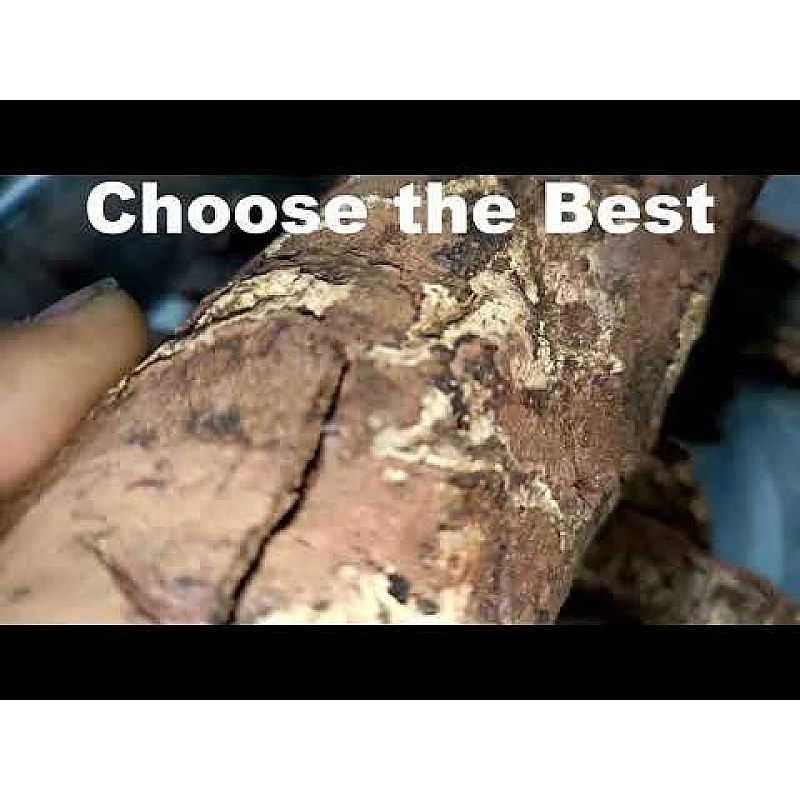 Order Original Best Quality Kaiphal Chhal - Kaifal Chal