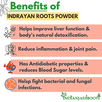 Tumba Roots Powder - Indrayan Mool Churna - Bitter Apple ...