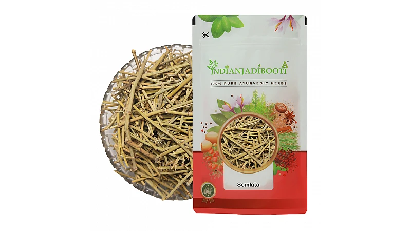 Benefits of Somlata (Panchang) - Somavalli - Soma - Khanta ...
