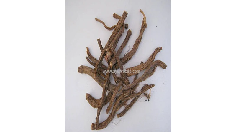 Akarkara Guide: Benefits, Uses, Dosage & Side Effects